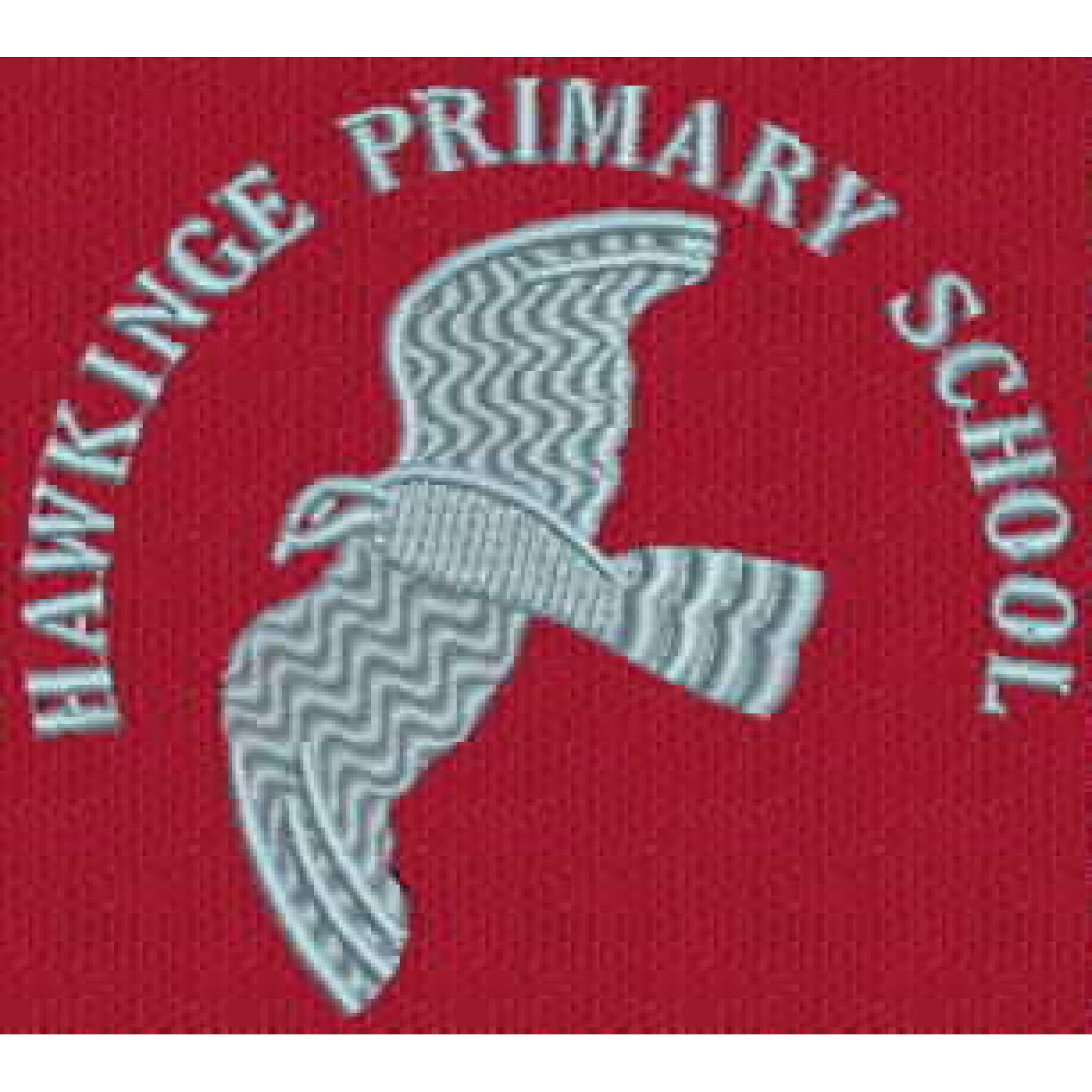 Hawkinge Primary Fleece